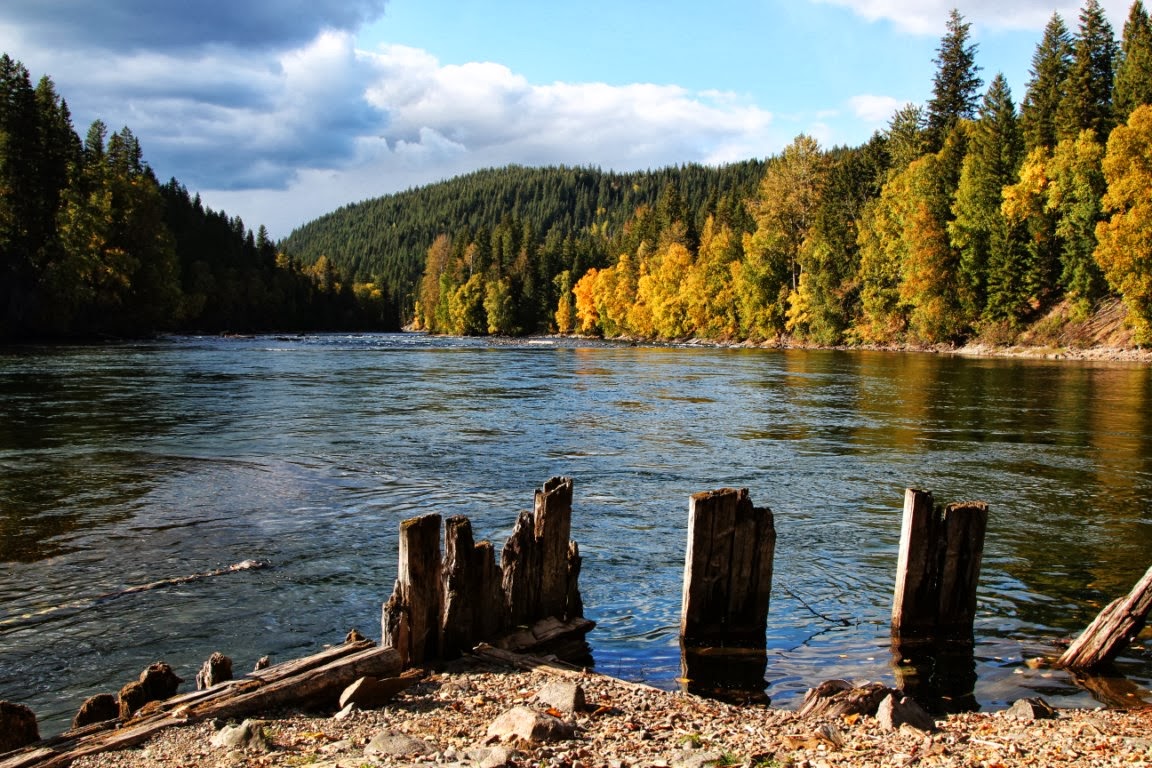 A testy bastard, at times.: Likely and Quesnel Forks